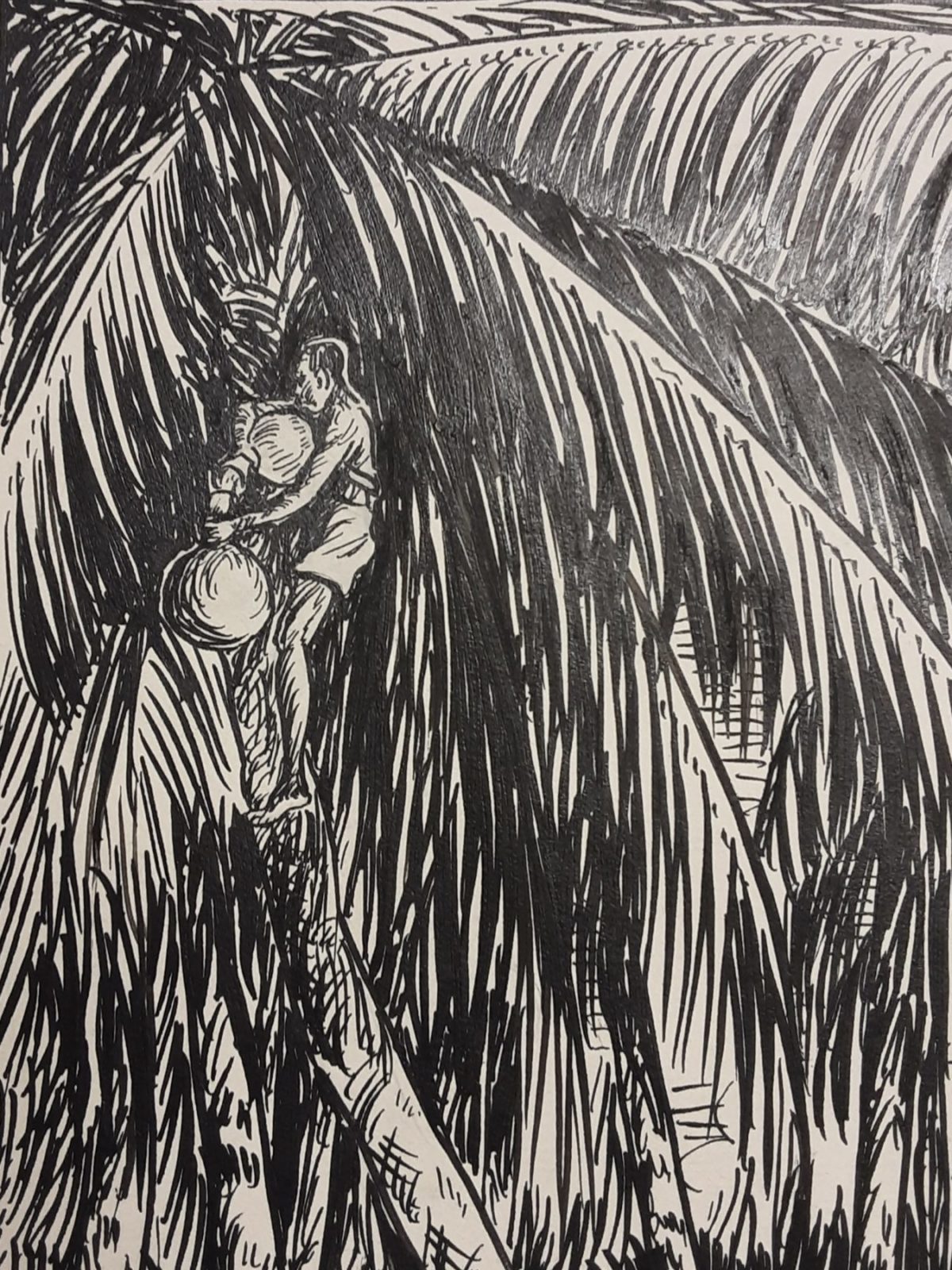 Palm Wine: A Cultural Touchstone - Mellon Diversifying the Field